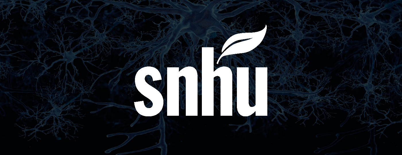 SOUTHERN NEW HAMPSHIRE UNIVERSITY | LEARNING